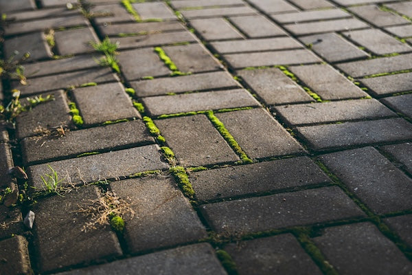 Managing Slippery Surfaces: How to Clean, Treat and Protect Moss‑Cover ...